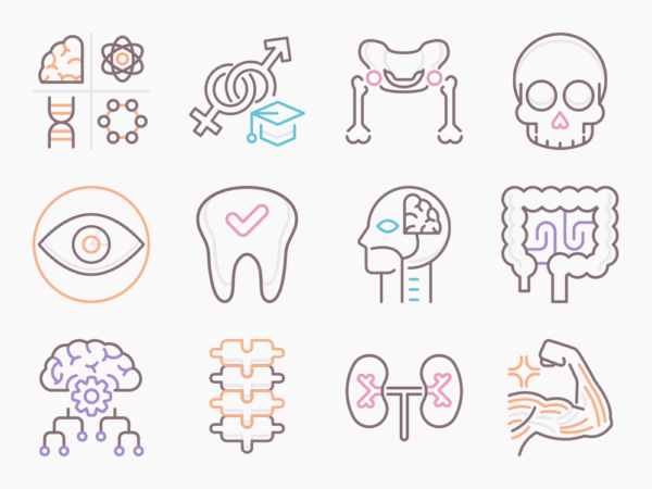 80 Anatomy Icon Set - Flat Icons